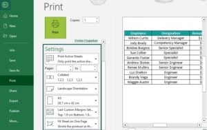 Page Setup In Excel - Where is it, Shortcut, How to Page Setup?