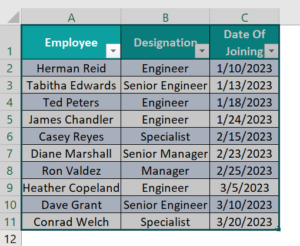 Highlight Every Other Row In Excel - Top 3 Methods with Examples