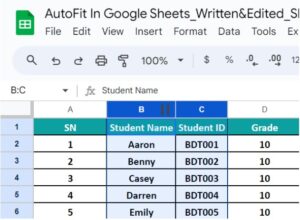 AutoFit In Google Sheets - Definition, Top Methods, Examples.