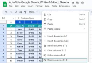 AutoFit In Google Sheets - Definition, Top Methods, Examples.
